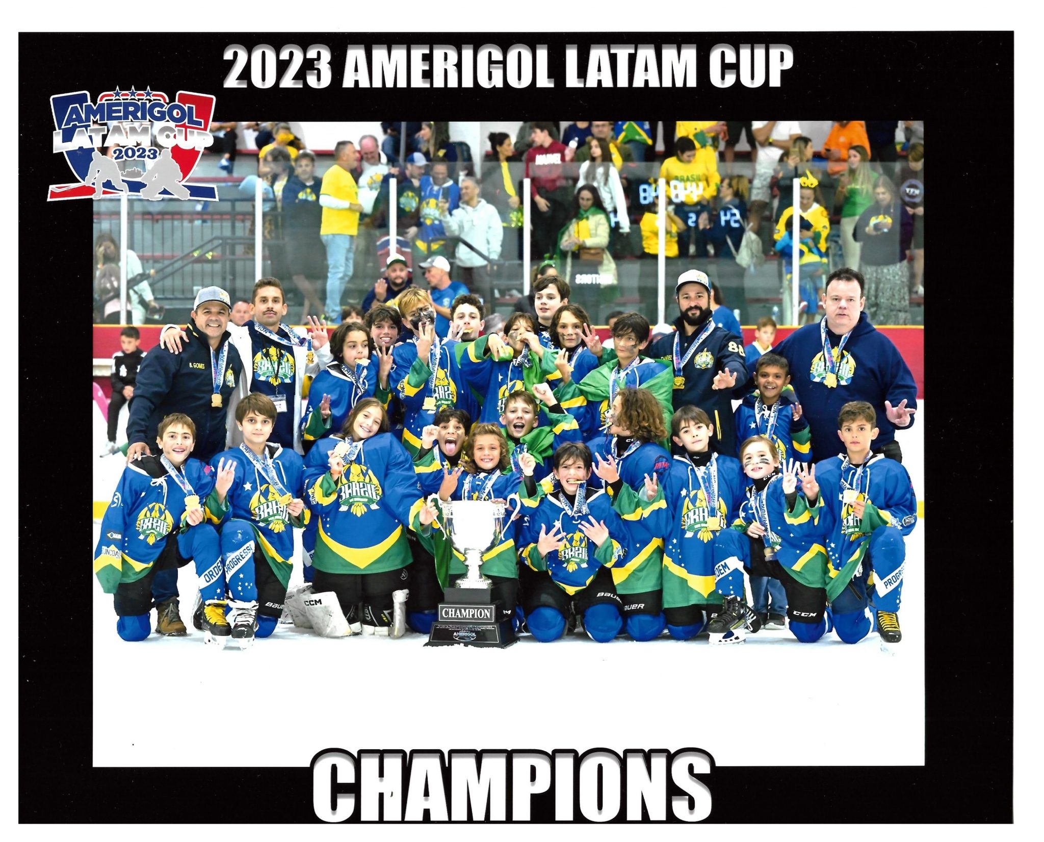 BRAZIL ICE HOCKEY – Ice Hockey no Brasil e pelo Mundo