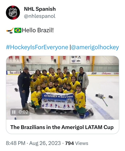BRAZIL ICE HOCKEY – Ice Hockey no Brasil e pelo Mundo